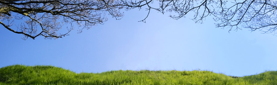 Handouts :: Science Rocks!